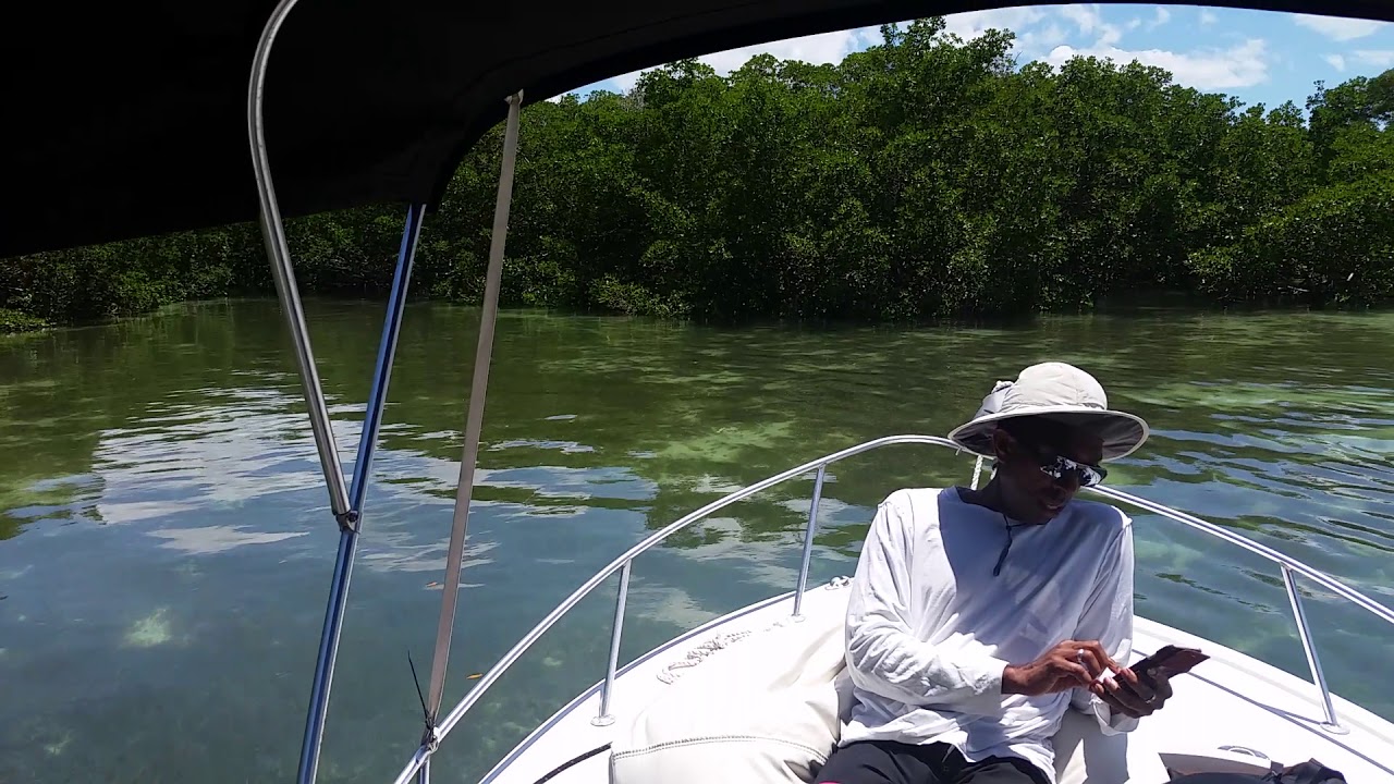 Backcountry ecotour, Lower Florida Keys - YouTube