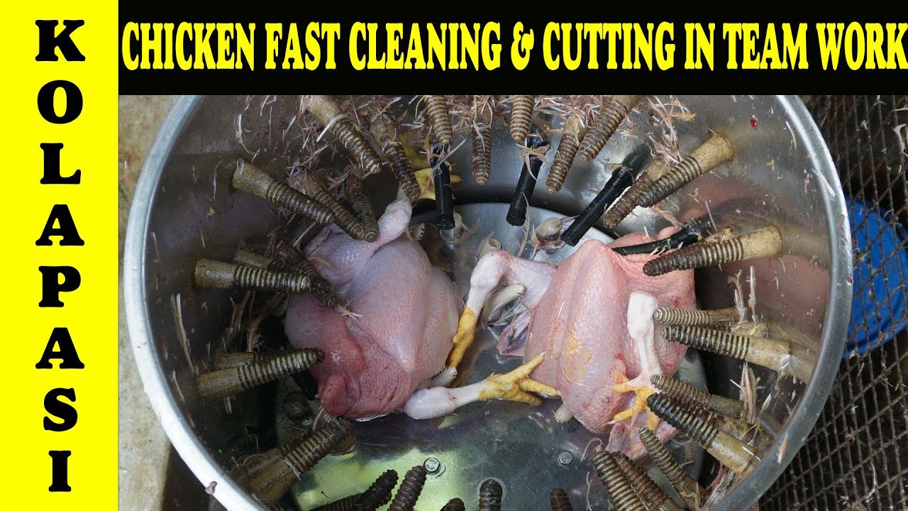 Chicken Cleaning & Cutting Video | Fastest Chicken Cutting in team ...