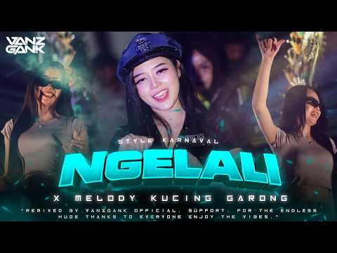 DJ NGELALI X MELODY KUCING GARONG STYLE PARTY KARNAVAL TERBARU VIRAL TIKTOK