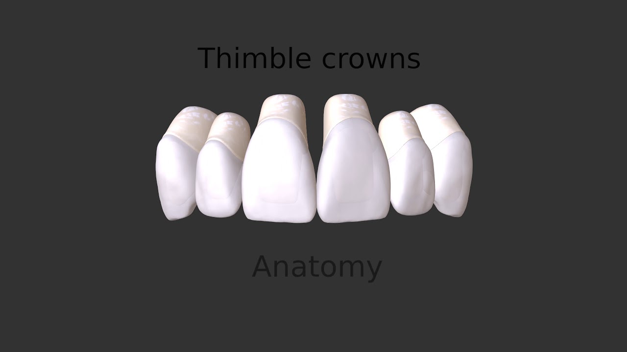 Teeth thimble crowns and anatomy - YouTube