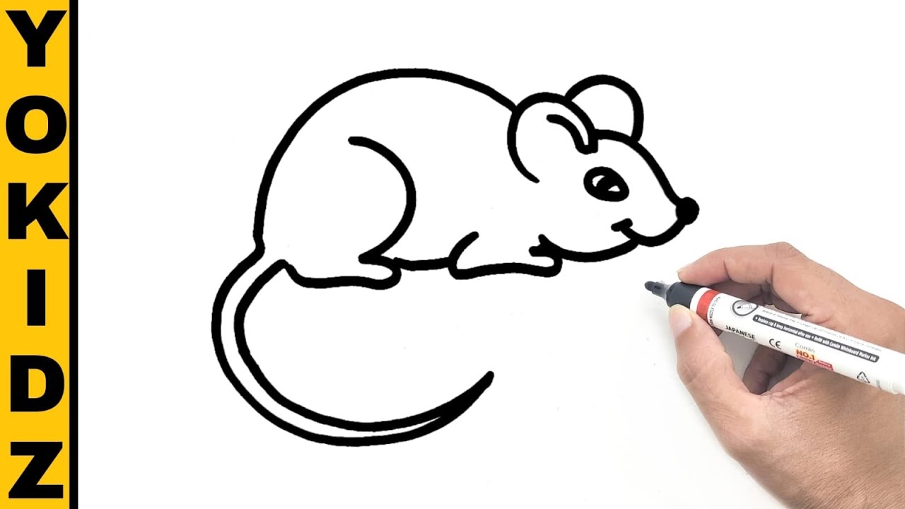 How to draw a Rat | How to draw a Mouse - YouTube