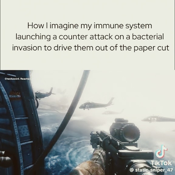 Credit to static-sniper_47 on TikTok - YouTube