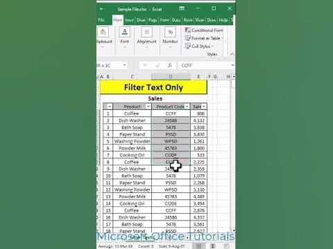Filter only Text in Excel | How to Filter Text only in Excel (Excel ...