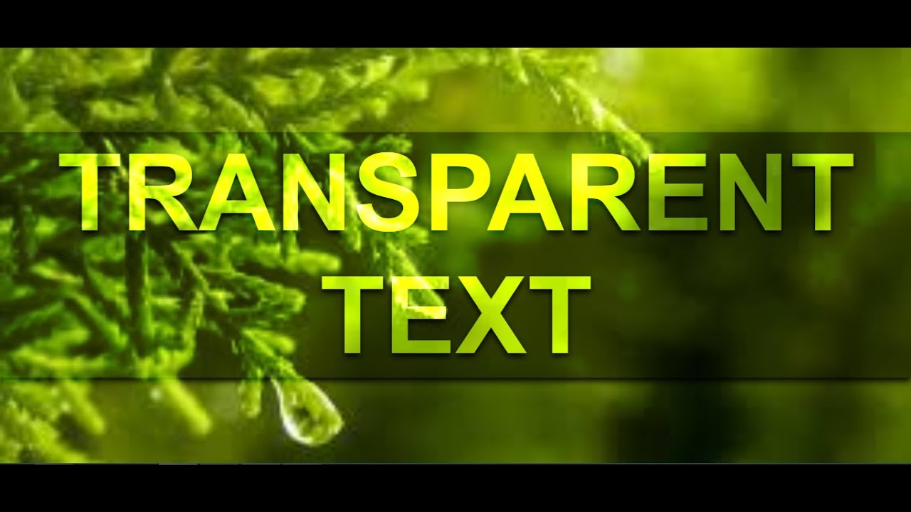 How To Make Transparent Text Effects Using HTML And CSS Speed Coding how-to-make-transparent-text-effects-using-html-and-css-speed-coding