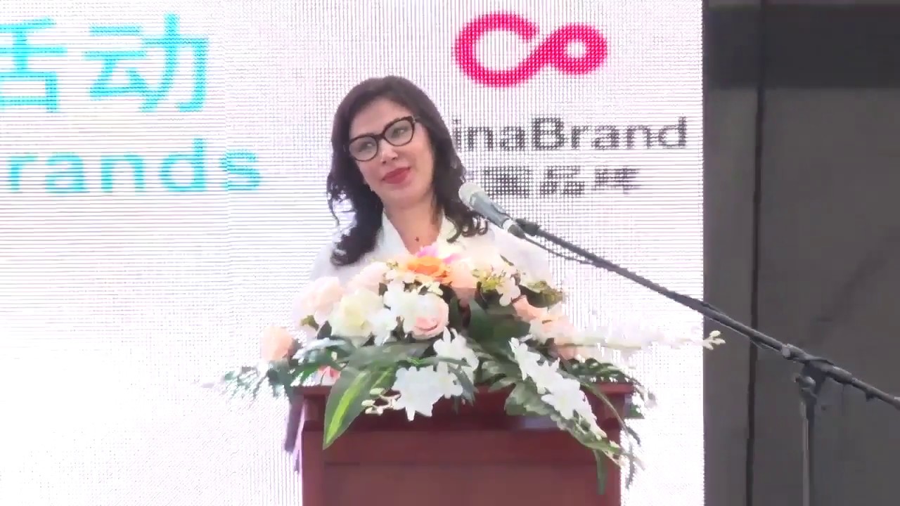 China Smart Expo 2018 - Dr. Boros Emese - YouTube