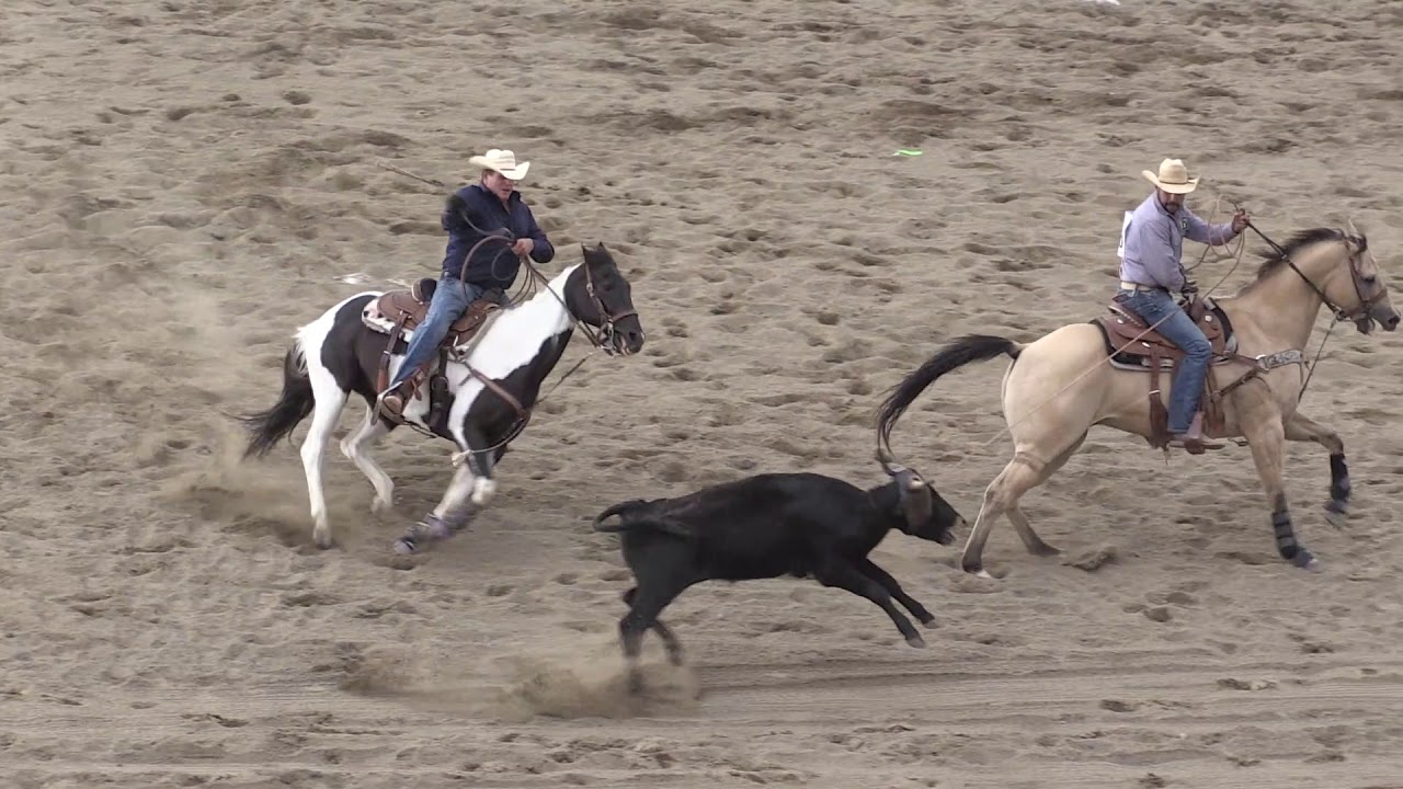 2019, Team Roping, Rocky Mountain Regional Rodeo - YouTube