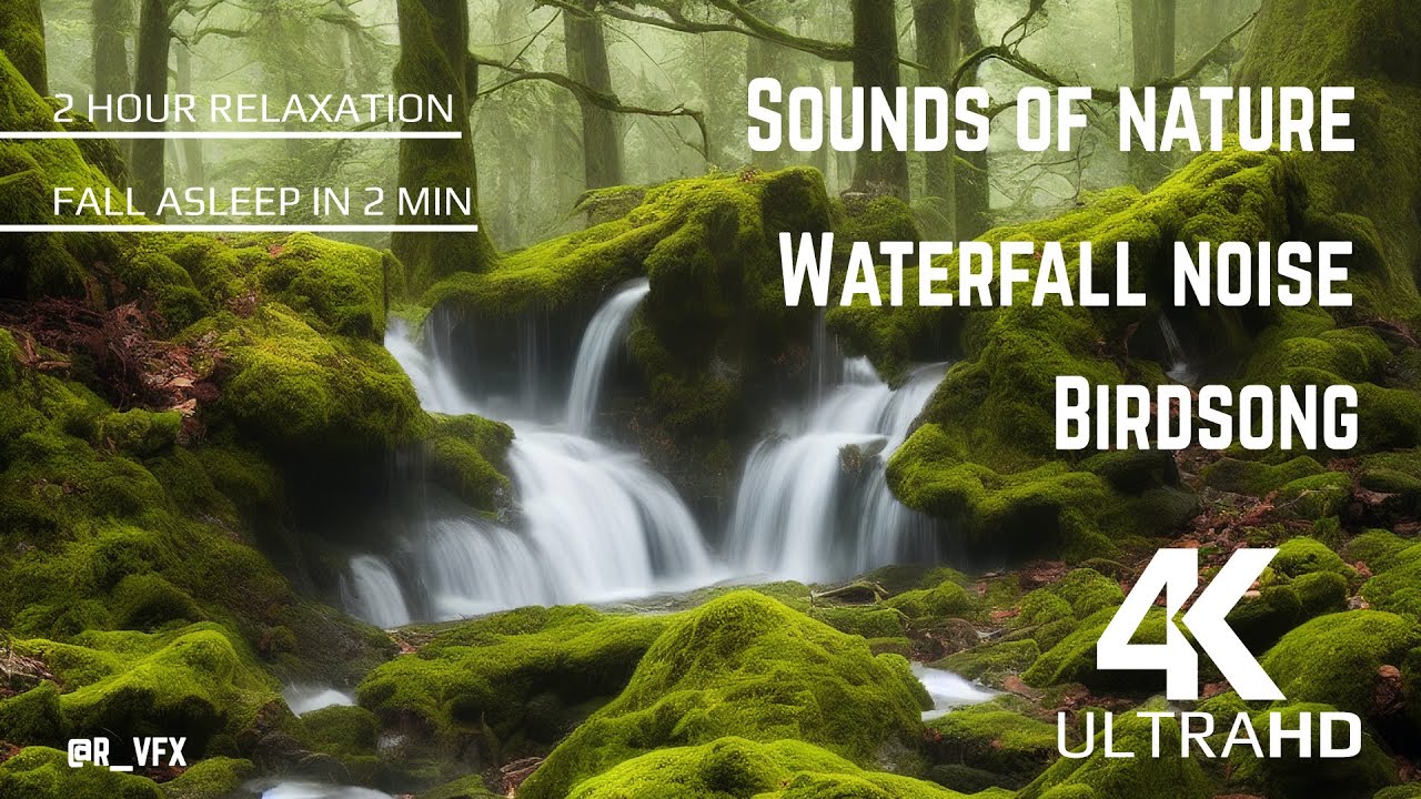 FOREST WATERFALL | Sounds of Nature | Noise of the Waterfall | Birdsong ...