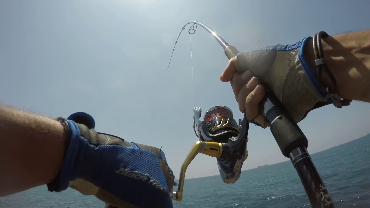 Shore jigging Israel - 17kg king mackerel on shore jigging - YouTube
