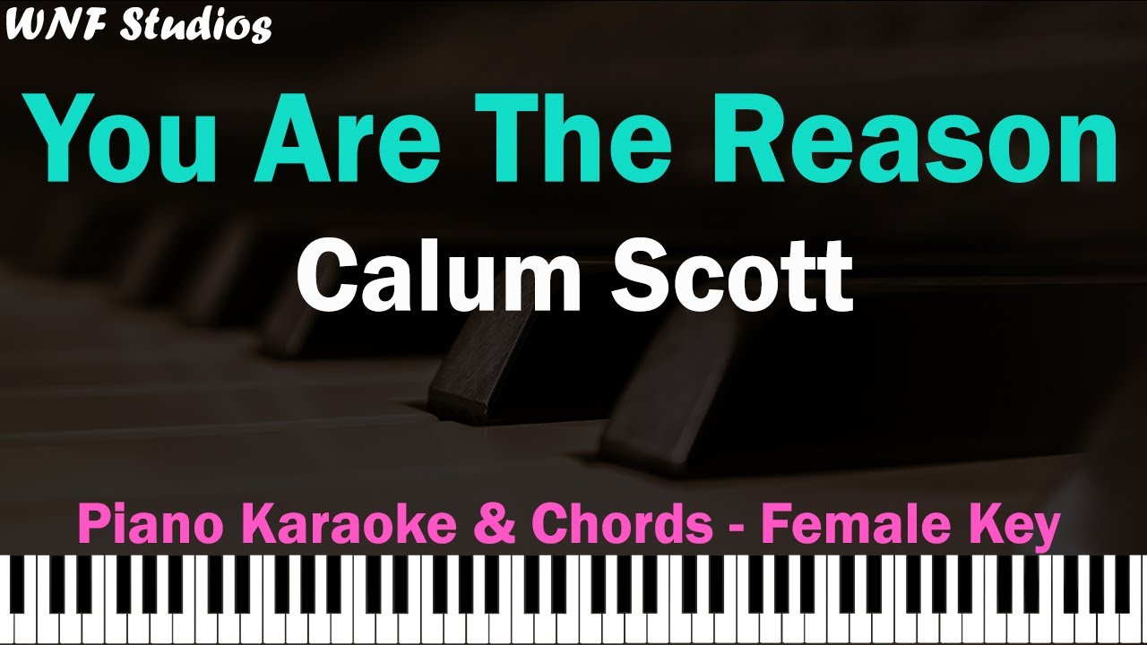 You Are The Reason - Karaoke Female Key & Tutorial Chord C (Calum Scott ...