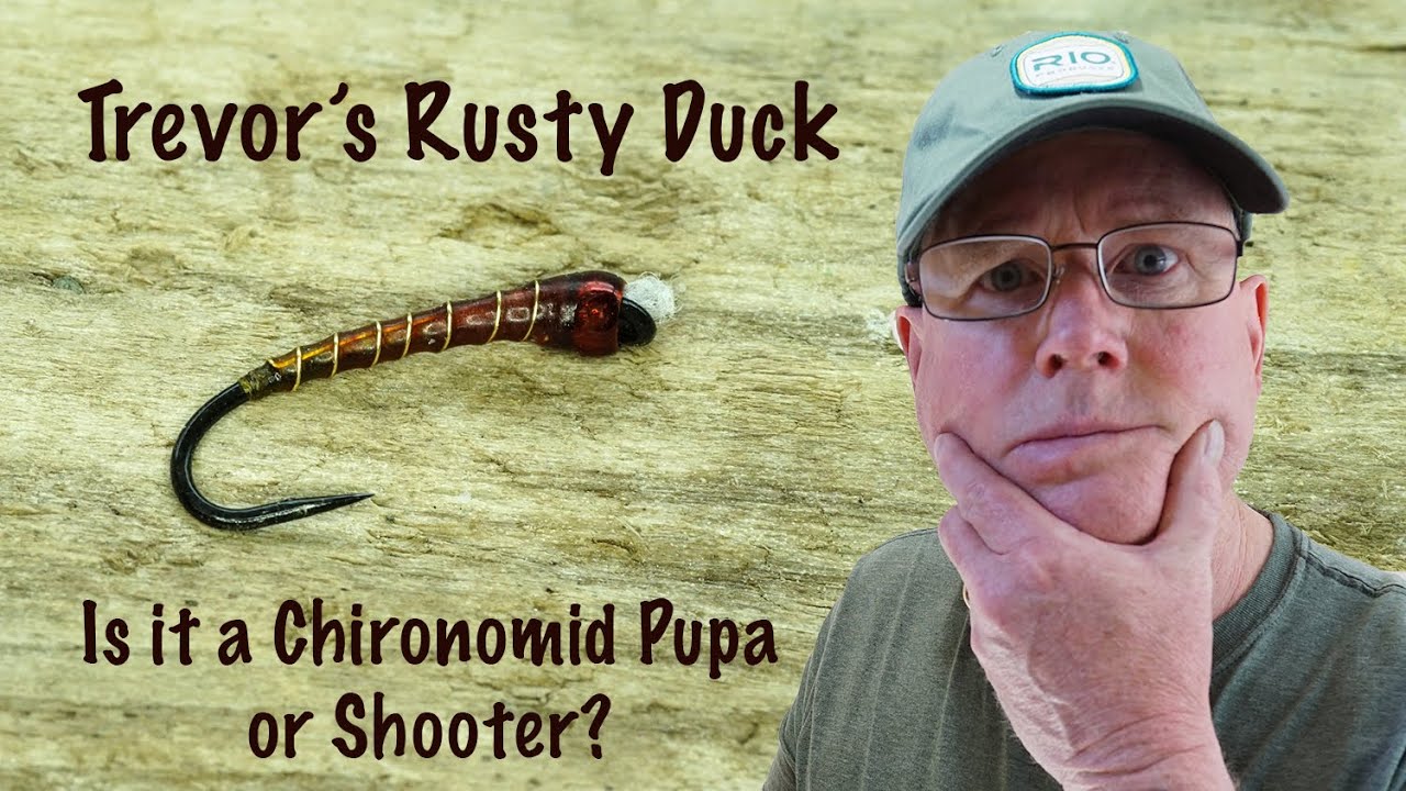 The Rusty Duck Pupa | Fly Pattern or Shooter? - YouTube