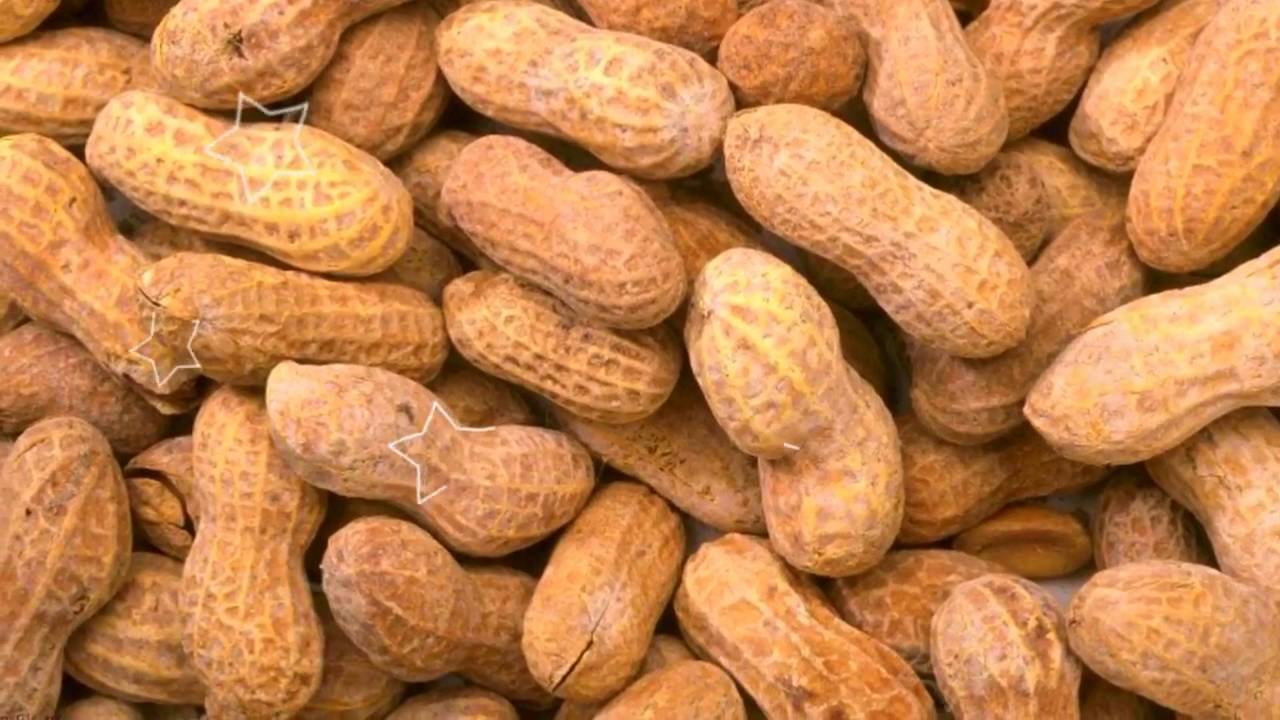 АРАХИС ПОЛЬЗА И ВРЕД | арахис полезные свойства, арахис польза для ...
