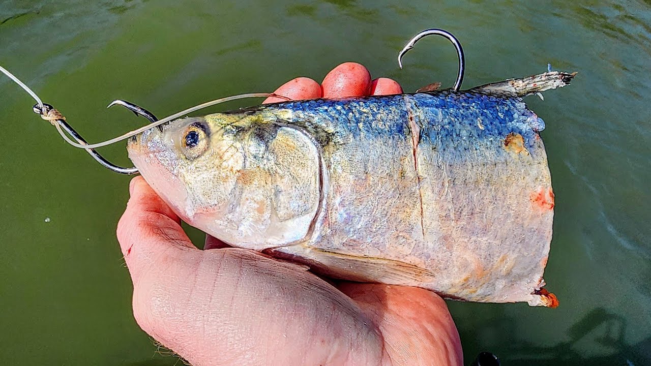 I Dropped This Bait Into A 70 FOOT HOLE It Got Destroyed YouTube