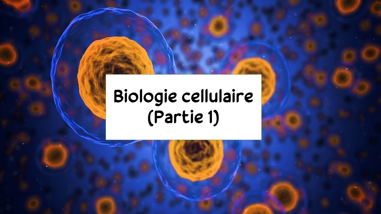 Cours biologie cellulaire chapitre 1 - YouTube