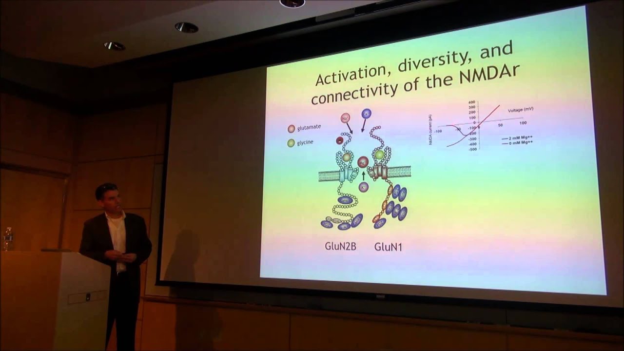 BME Seminar Series 2013: David Meaney Ph.D. "The Role of NMDA Receptor ...