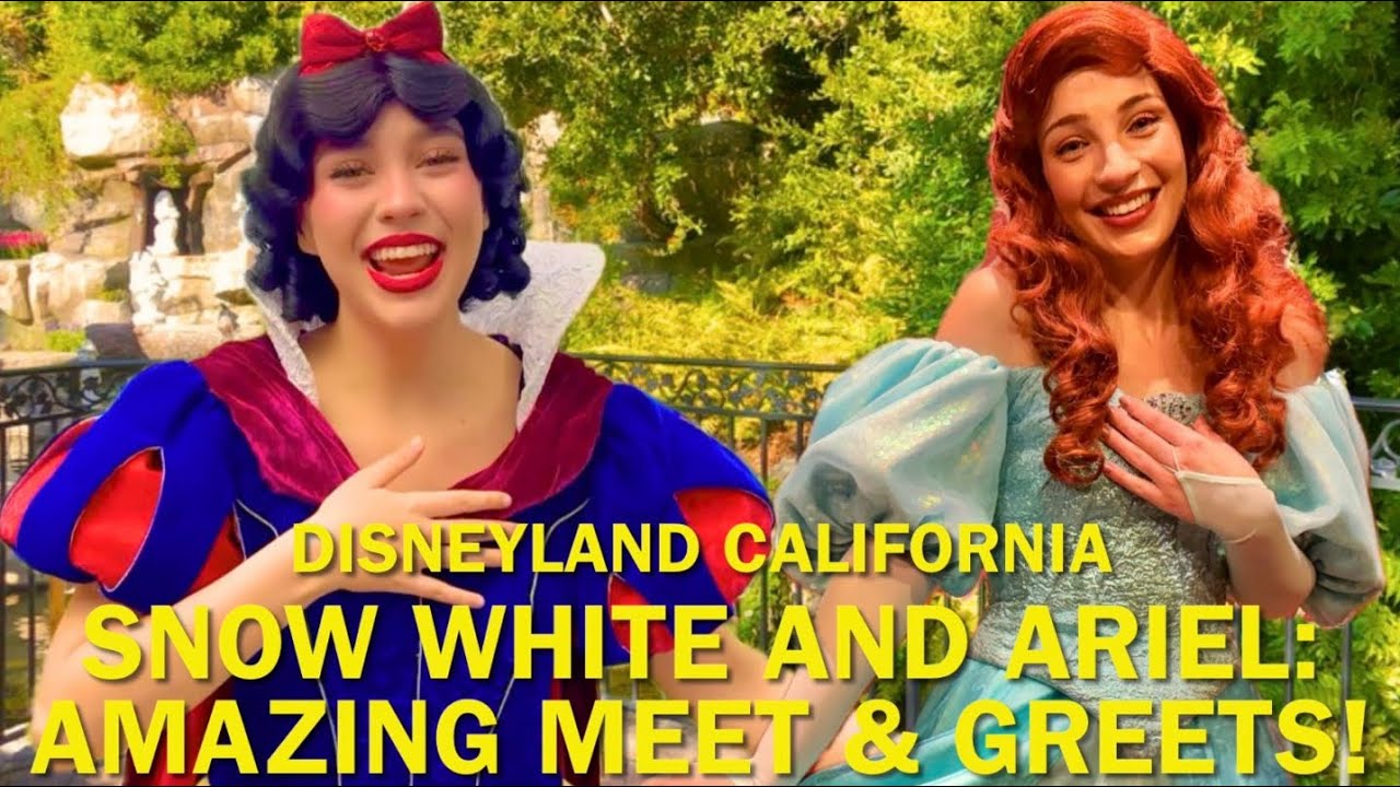 Meeting Up With Snow White and Ariel for AMAZING, Magical Meet and ...
