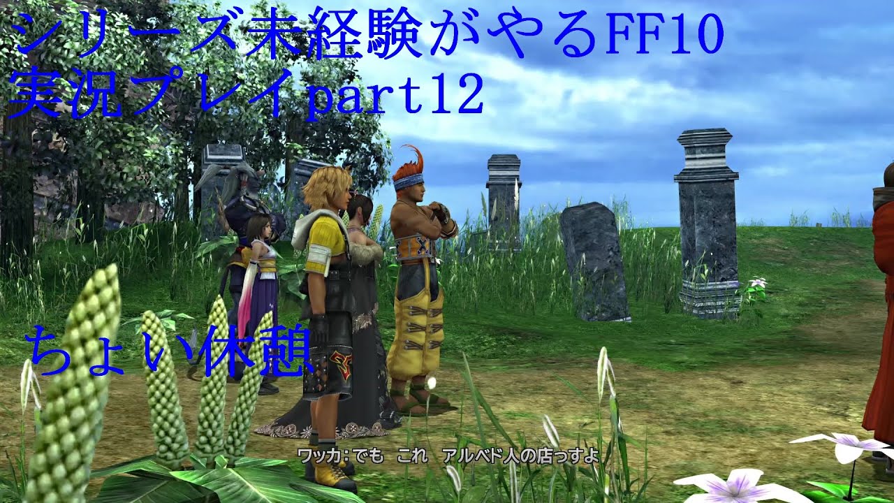 【FF10】シリーズ未経験がやるFF10 実況プレイpart12※ネタバレあり【ファイナルファンタジーⅩ】 - YouTube