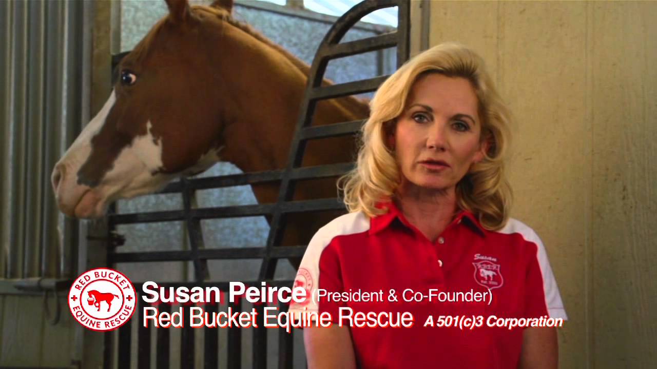 Red Bucket Equine Rescue -1920x1080-YouTube sharing.mov - YouTube