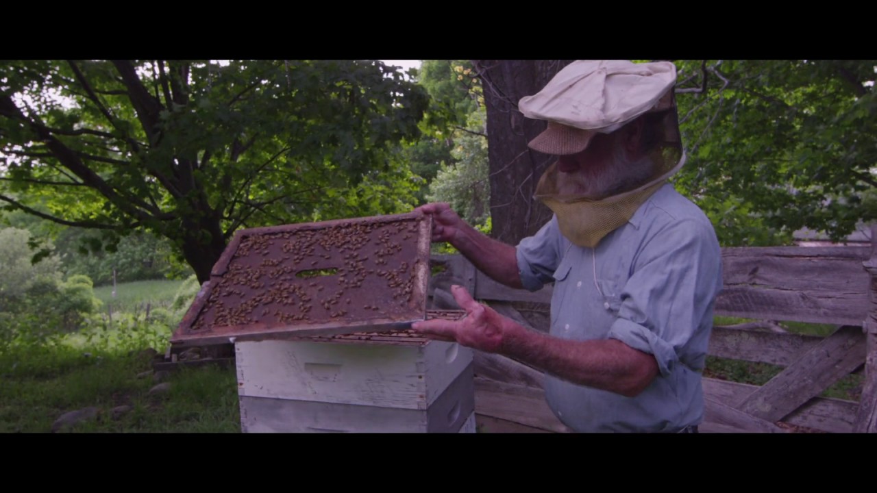 PETER AND THE FARM - ON BEEKEEPING (EXTRA SCENE) - YouTube