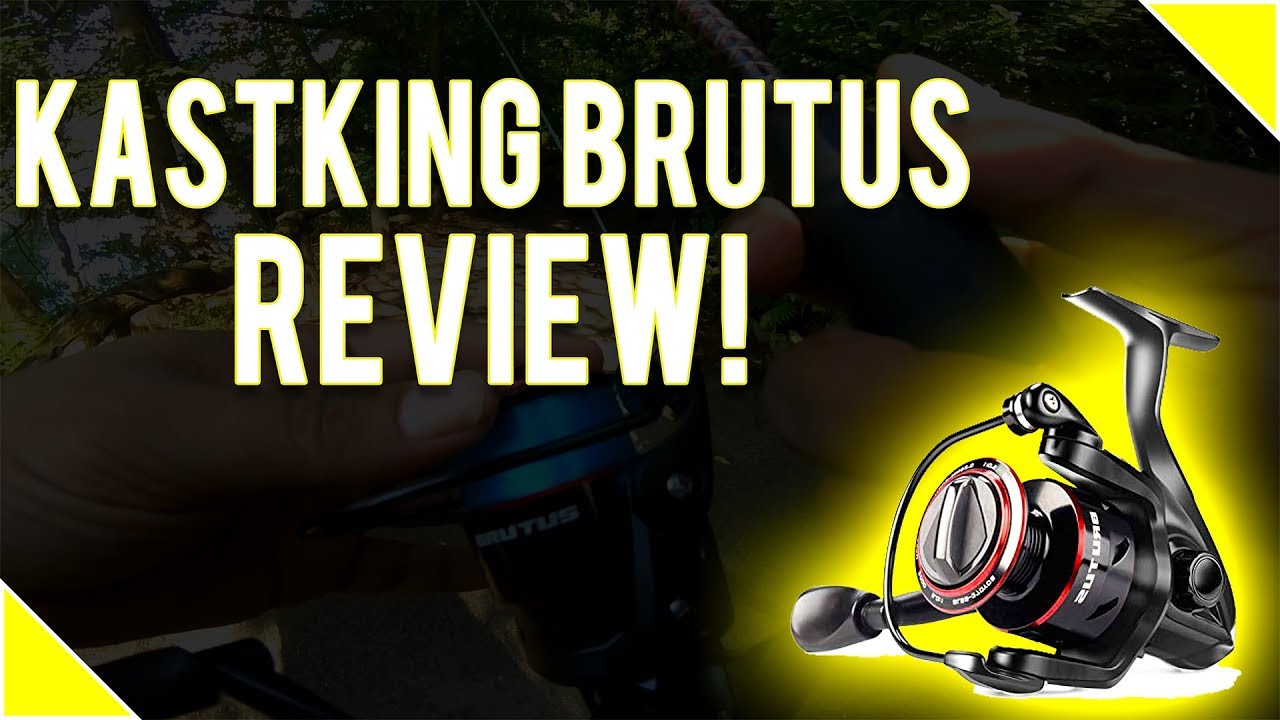 KASTKING BRUTUS 3000 REVIEW! Super Affordable REEL (GIANTS Caught ...