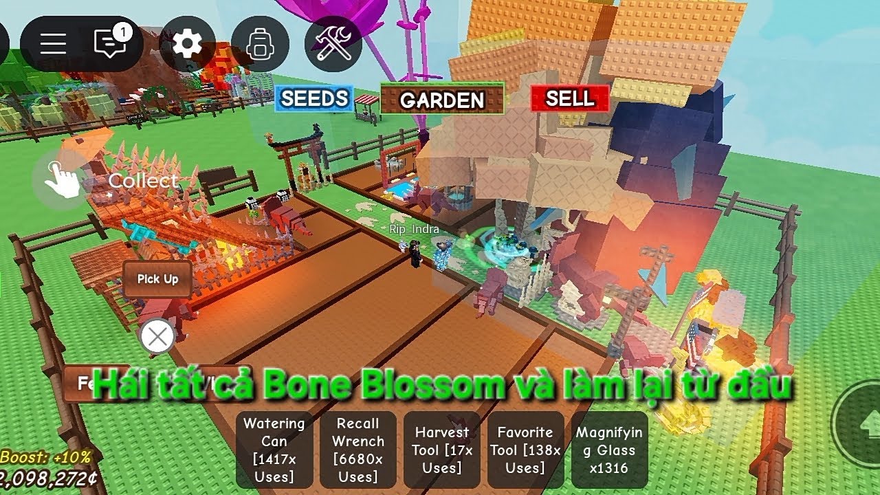 Grow A Garden:Hành trình nuôi dưỡng Bone Blossom Phần 9:Hái hết Bone ...