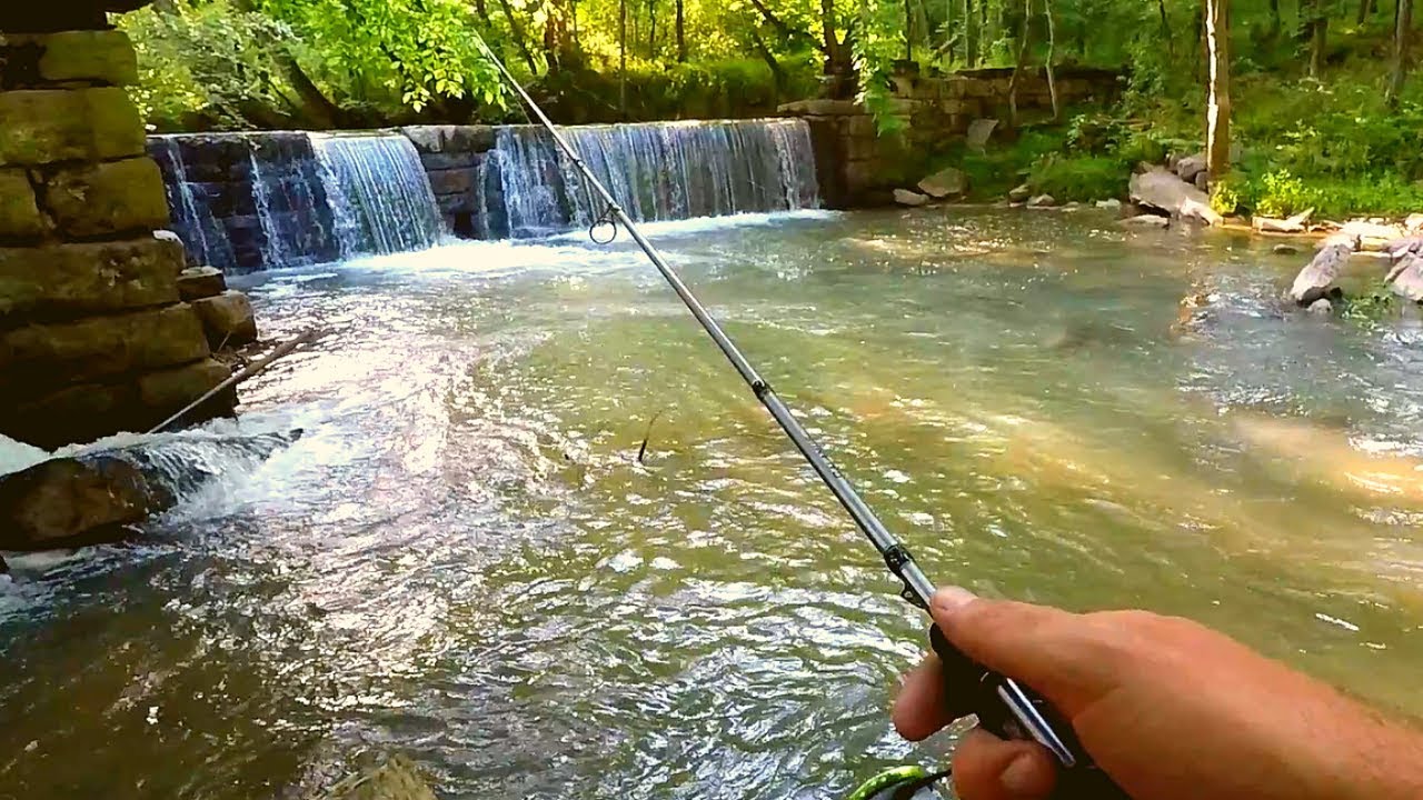 Fishing at an Old Creek Farm Mill - YouTube