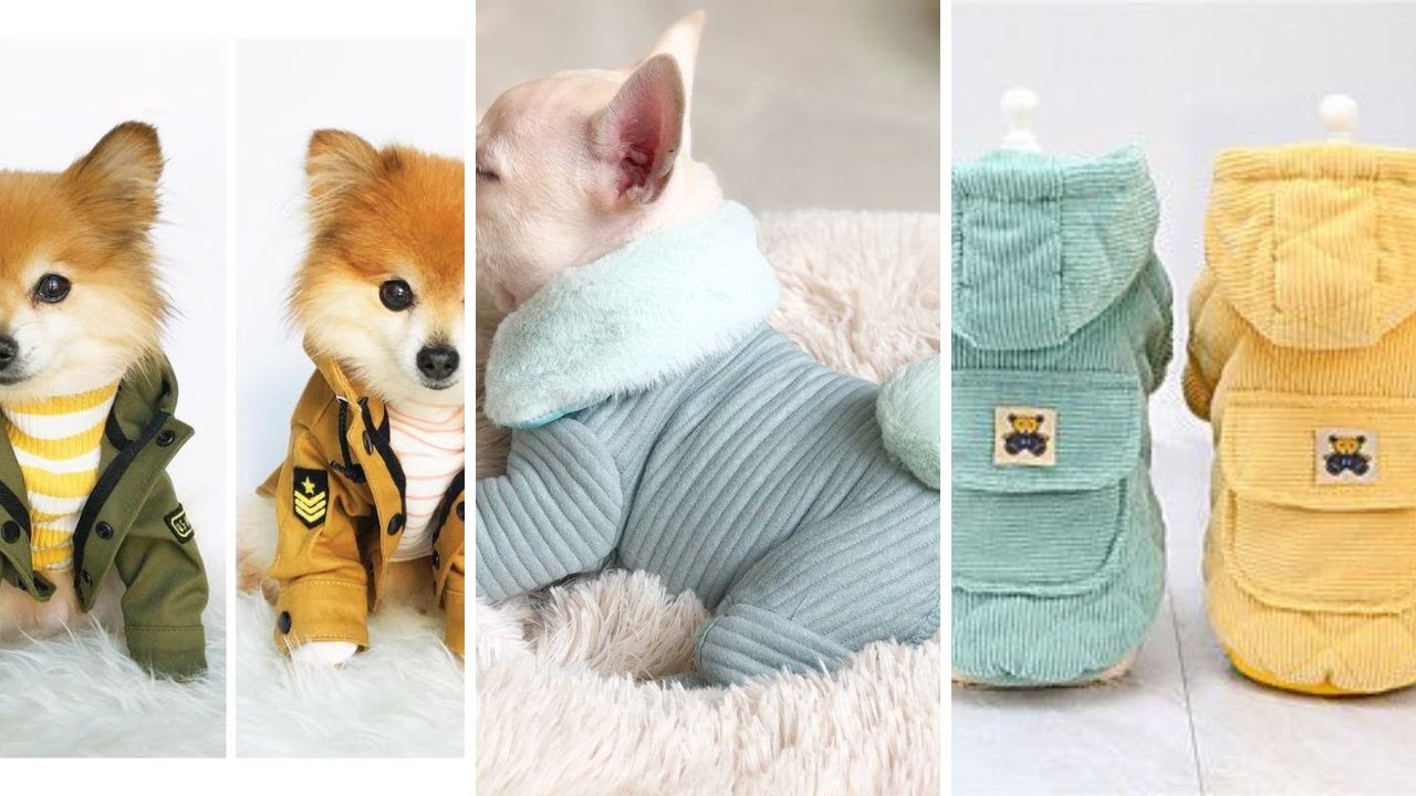 dogs cloths - YouTube