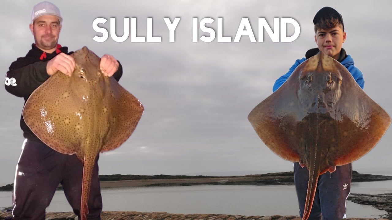 EPIC Blonde Ray Fishing at Sully Island - YouTube