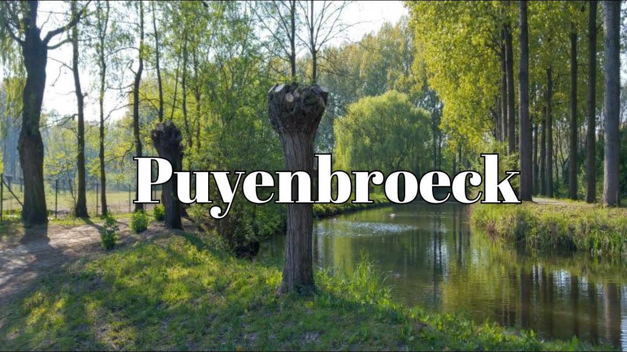 Provinciaal Domein Puyenbroeck - YouTube