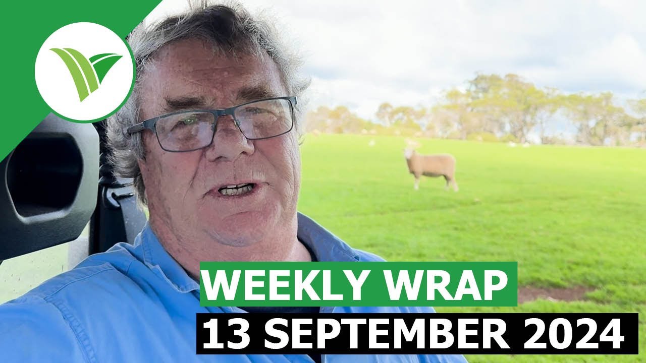 TasFarmers Weekly Wrap - 13 Septembers 2024 - YouTube