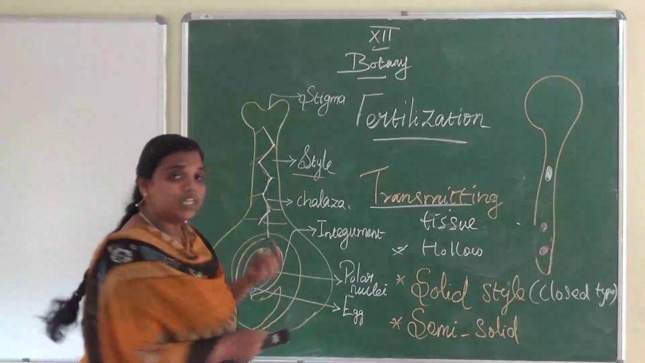 12th Botany YouTube 12th-botany-youtube
