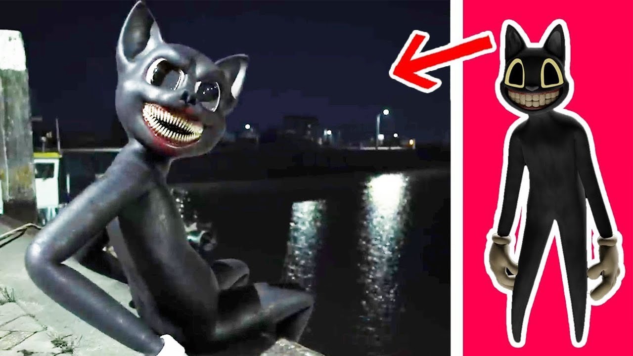 5 CARTOON CAT EXE Captados y Vistos en la Vida Real - YouTube