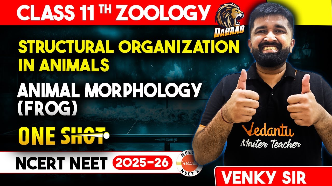Morphology of a Frog class 11 Biology One Shot | Structural ...