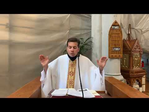 St. Peter Cathedral - Tuesday of the Tenth Week of Ordinary Time ...