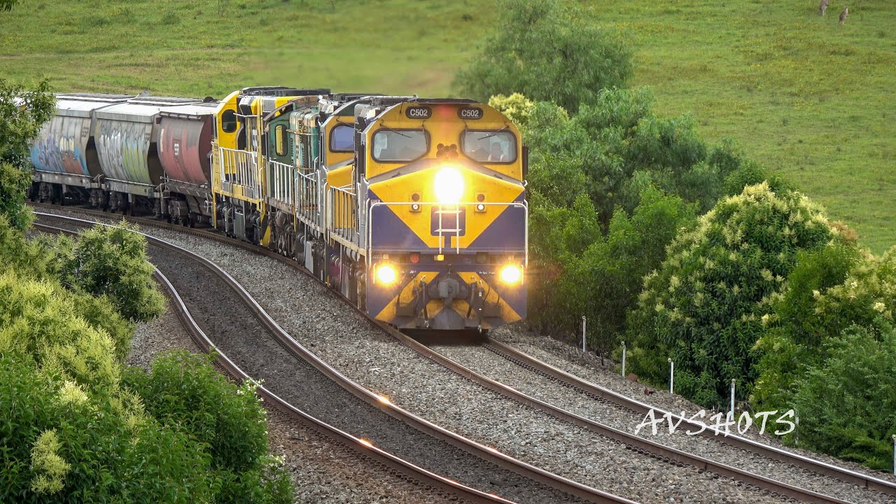 C502 Returns to NSW Services on 3242 SSR Grain Train with C510 603 C505 ...