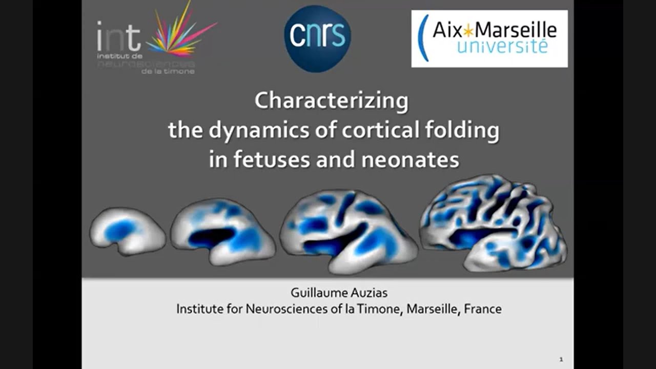 Characterizing the dynamics of cortical folding in fetuses and neonates ...