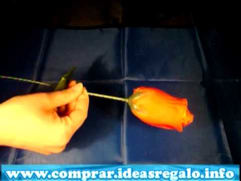 Rosa con Sorpresa muy sexy