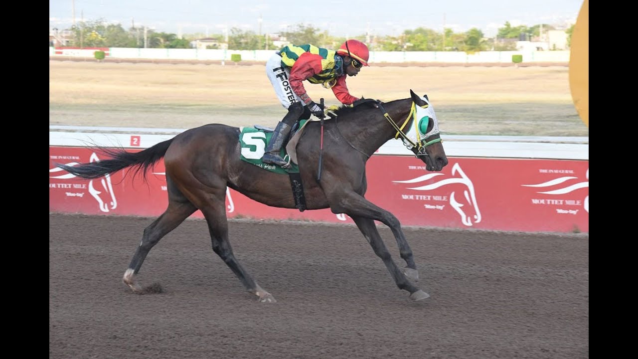 NEFETARI CLOSES A TRIPLE FOR TRAINER ANTHONY NUNES IN CAYMANAS (SAT ...