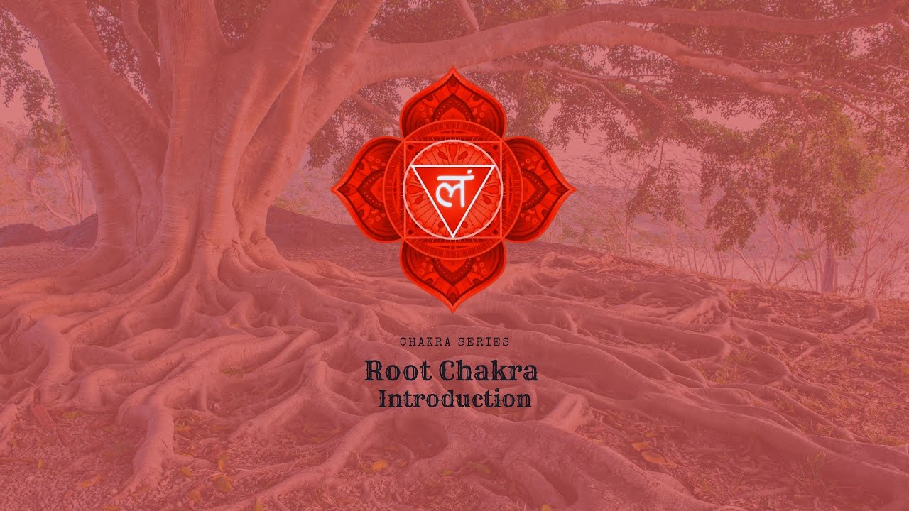 Root Chakra - Introduction - YouTube