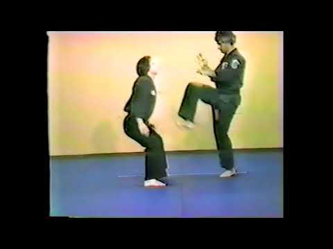 American Kenpo Darting Mace extension - YouTube