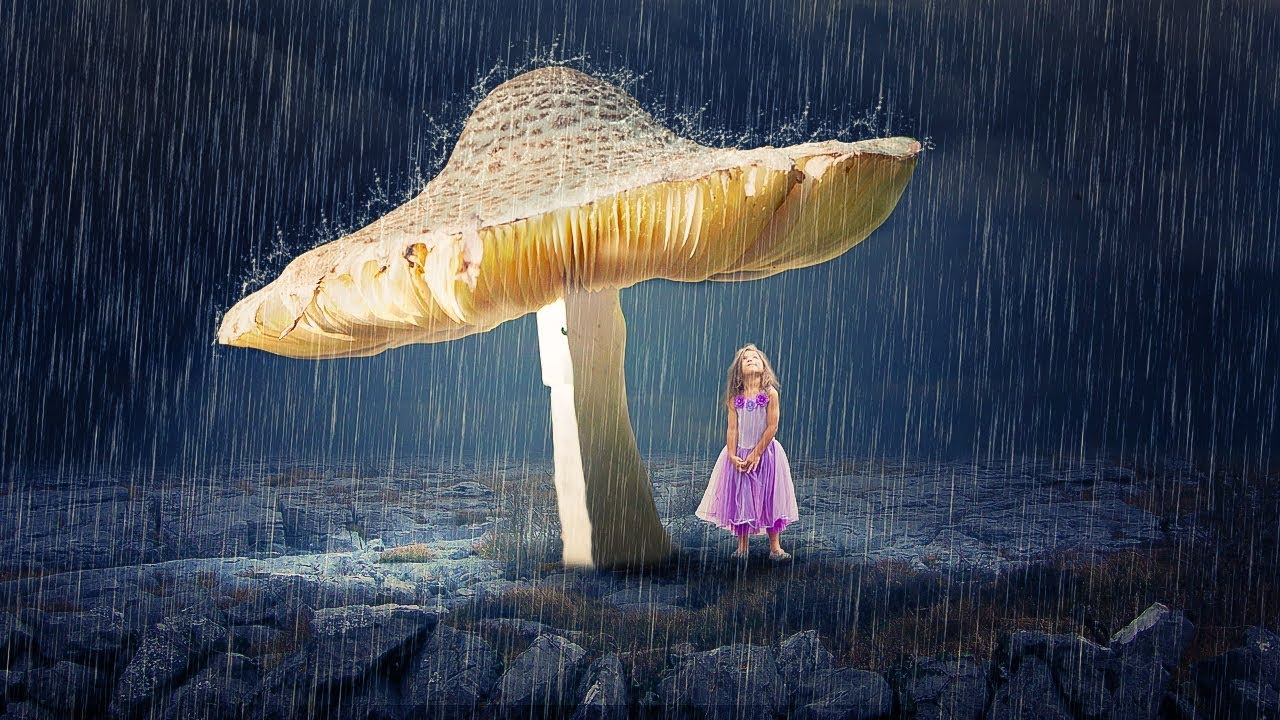 Fantasy Mushroom Photo Manipulation and Effect | Photoshop Tutorial ...