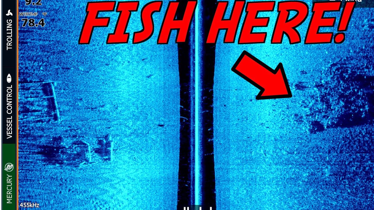 Find Bass 10x Faster in The Summer by Doing THIS! - YouTube
