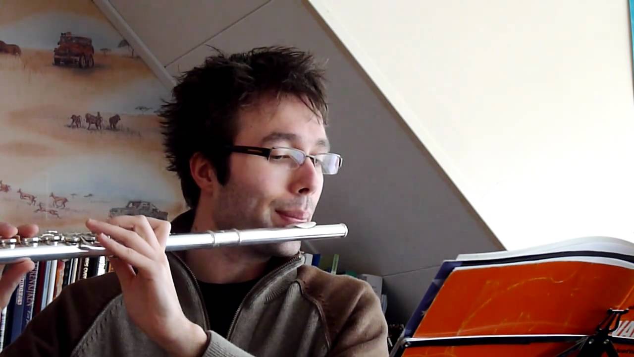 Houtblazer flute embouchure example - YouTube
