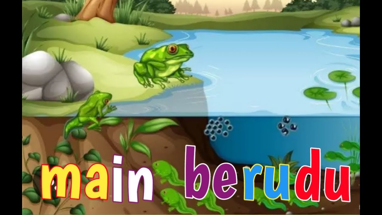 ‼️SERUNYA BERMAIN BERUDU_anak kodok yang lucu‼️ - YouTube