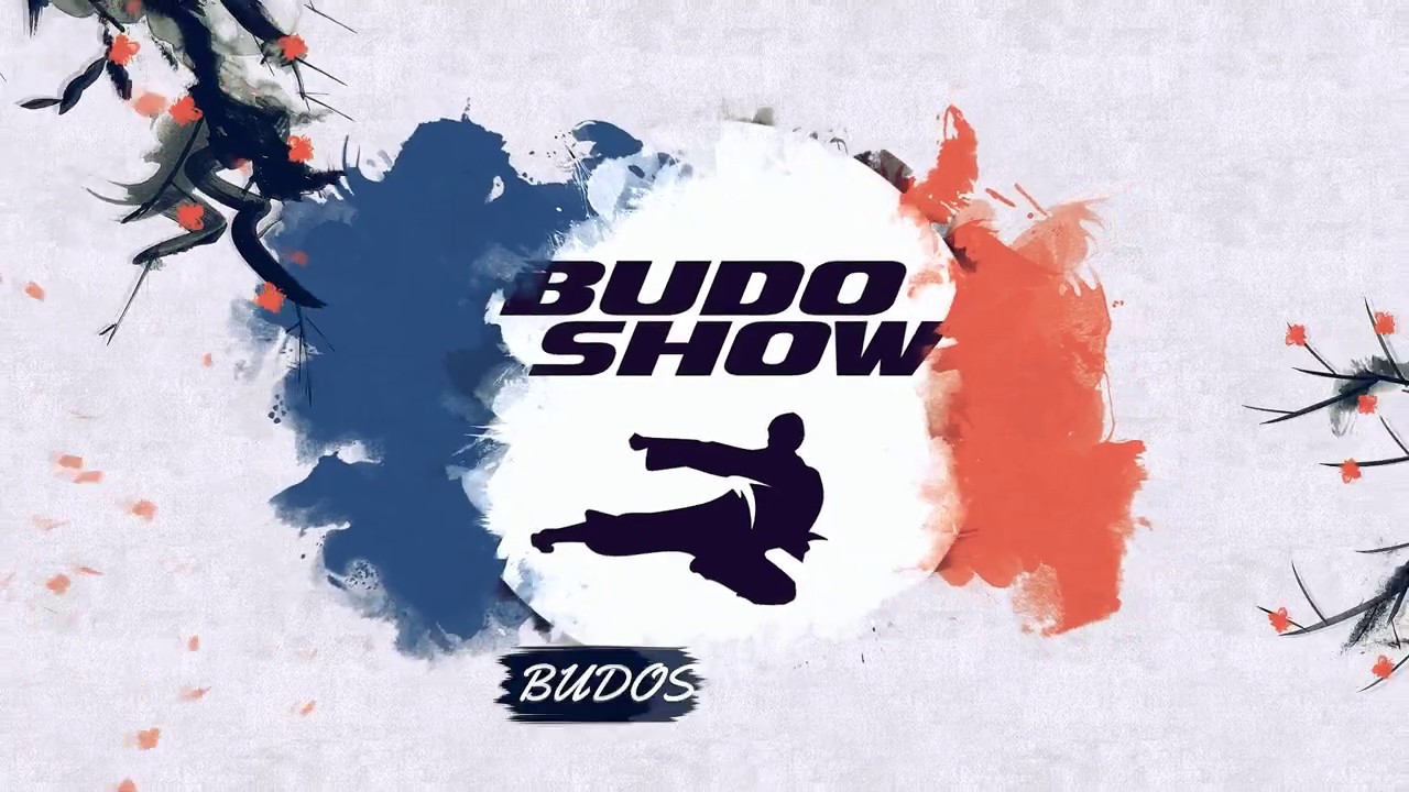 BUDOSHOW 2019 BRNO CZECH- KIM SASKIA BRÜNING - FREE STYLE - YouTube
