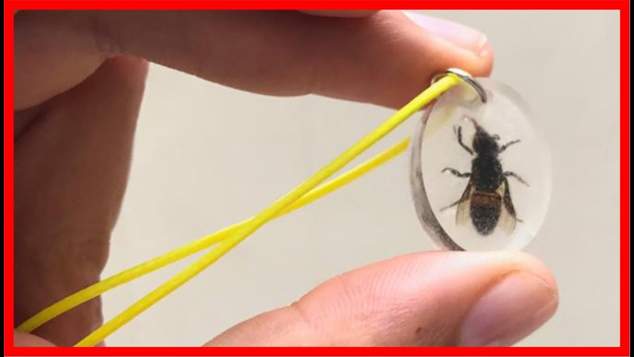 Como encapsular un INSECTO en RESINA EPOXI 🐝 - YouTube