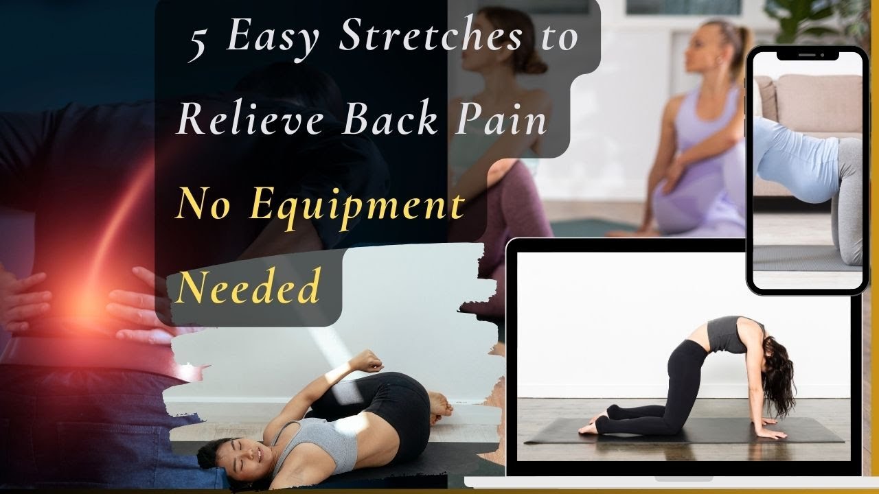 ”5 Easy Stretches to Relieve Back Pain (No Equipment Needed)" - YouTube