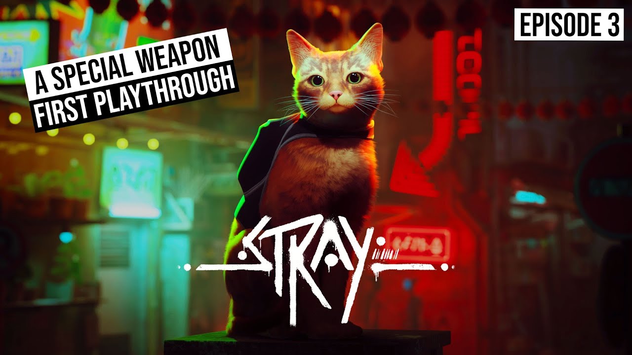A Special Weapon - Stray First Playthrough - Episode 3 - YouTube