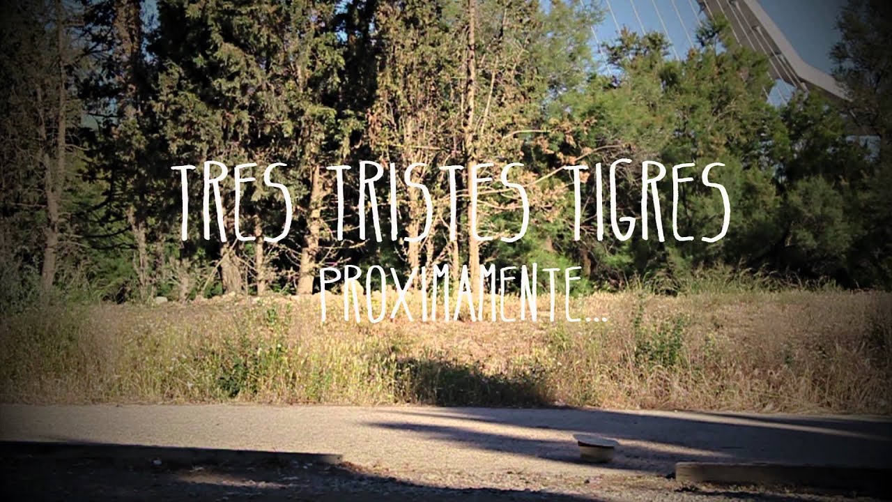 Tres Tristes Tigres (Three Sad Tigers) - Short Film 2012 (HD) - Teaser ...
