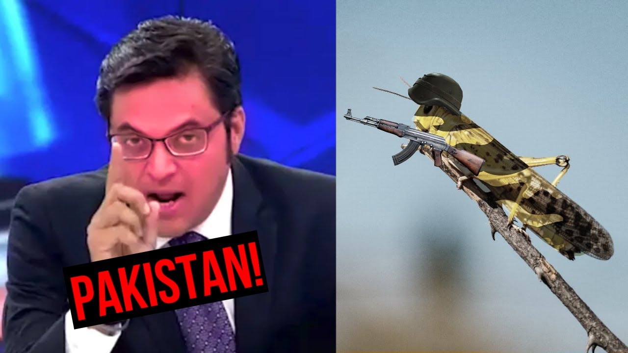 INDIAN MEDIA BLAMES PAKISTAN FOR EVIL LOCUSTS - YouTube