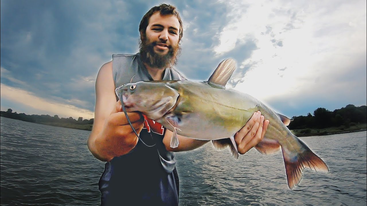 Hunting for Big Catfish in the Original Creek Channel - YouTube